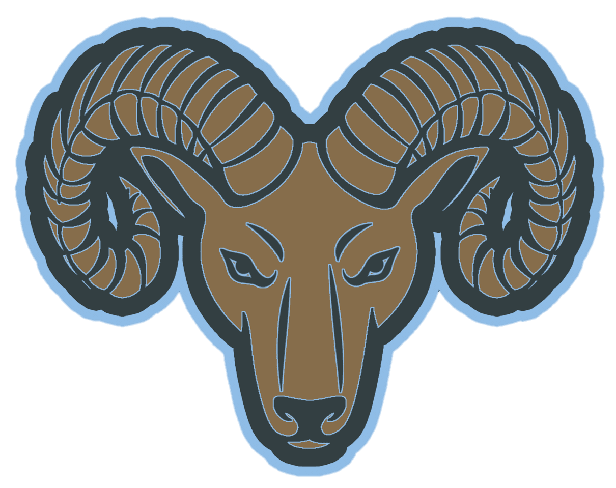 Boise Bighorns - Box Lacrosse League